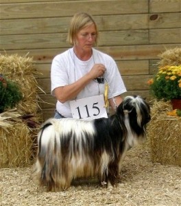 MSFGA Master Champions Page 1